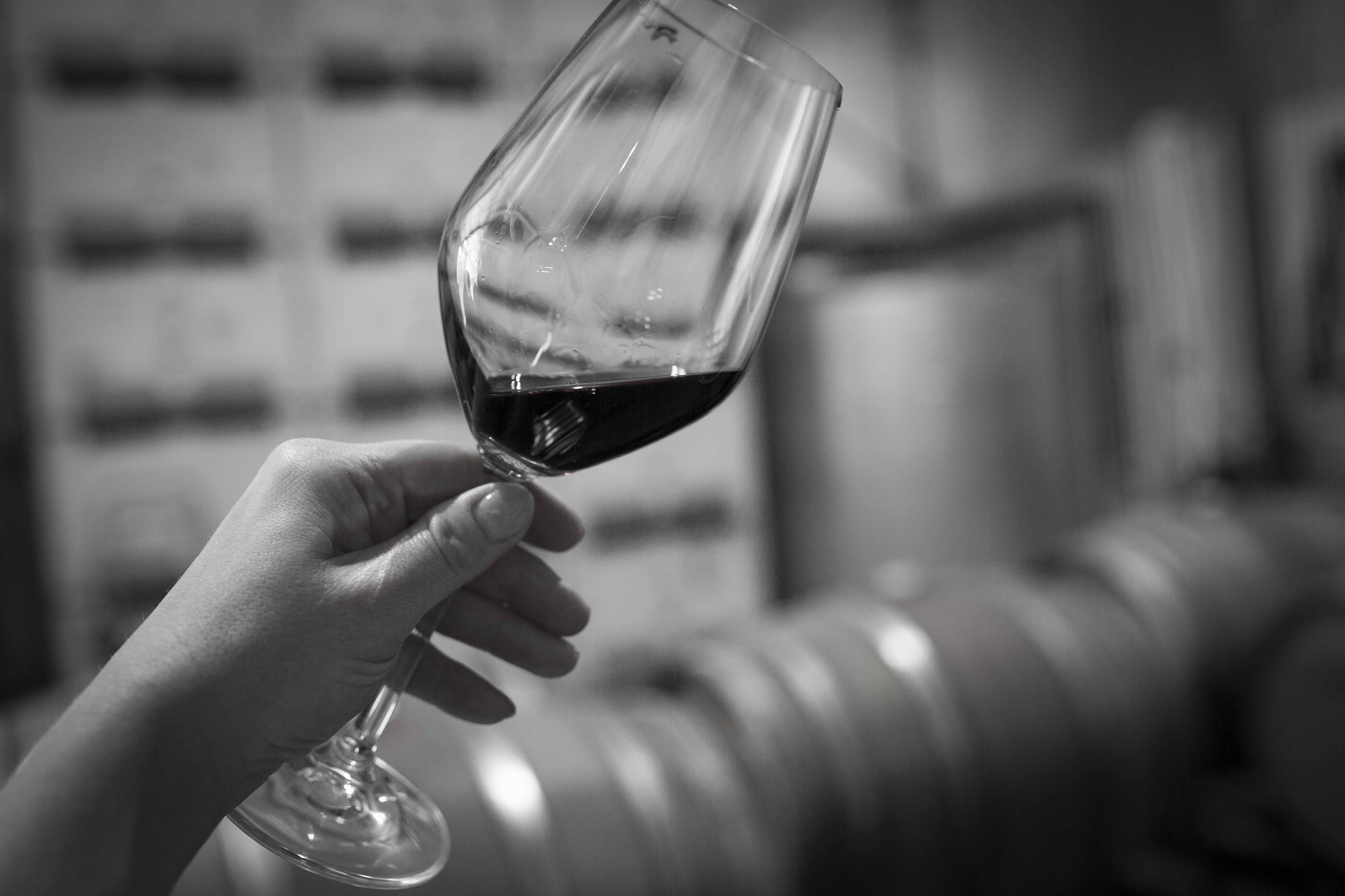 What is the best wine for beginners? – Tessera Wines